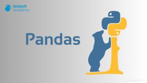 Mengenal Pandas Python: Panduan Awal untuk Analisis Data - Biztech Academy